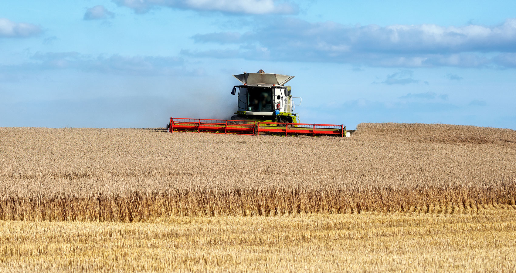 Harvest Incentive – Valesco Foods